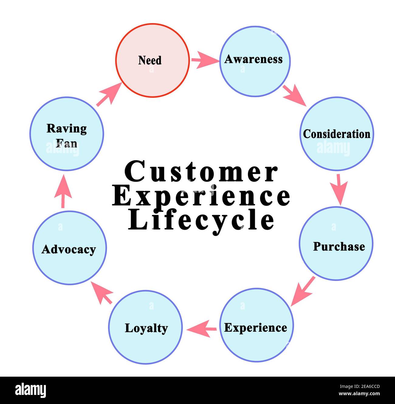 Components of Customer Experience Lifecycle Stock Photo - Alamy