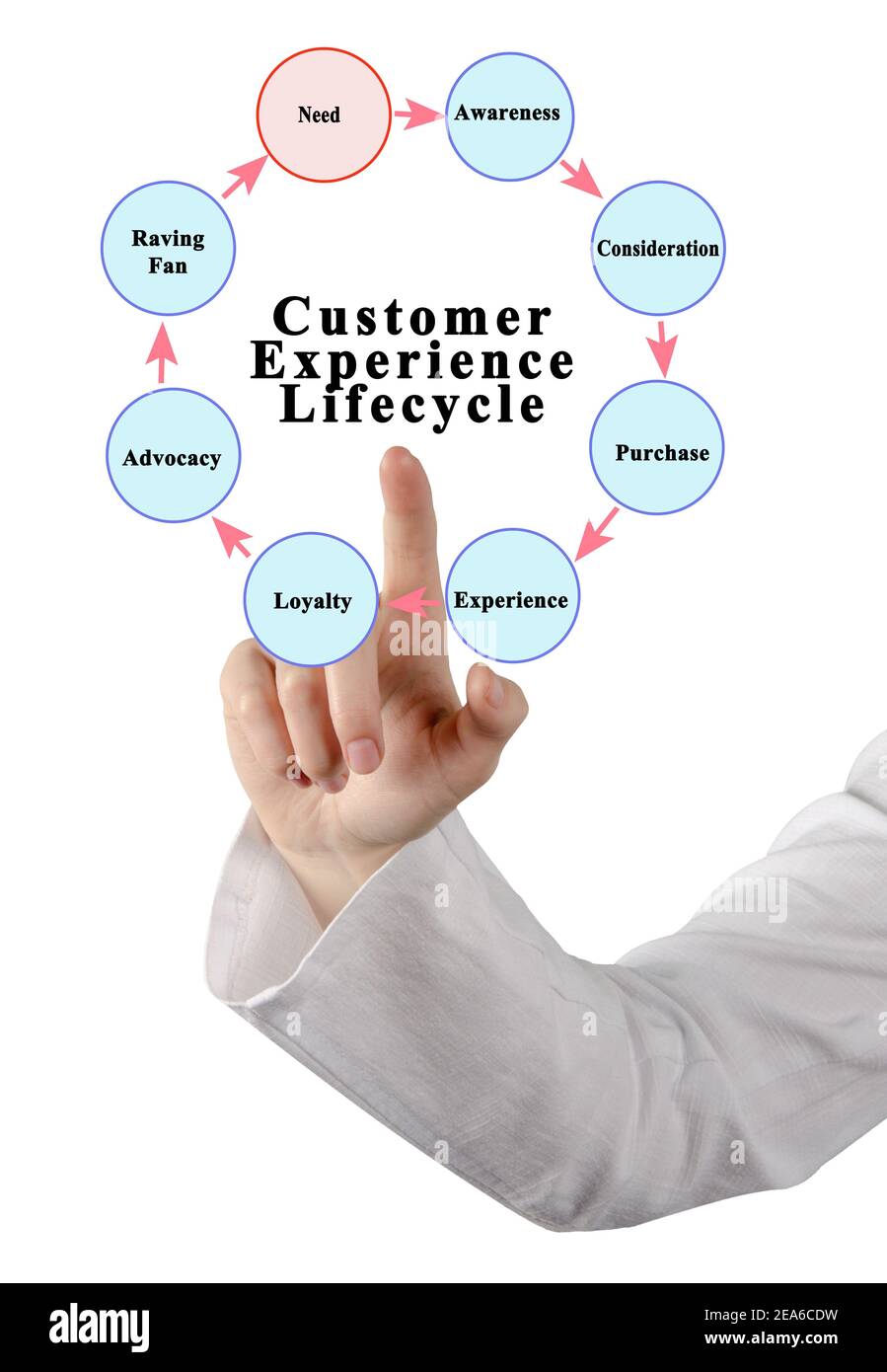 Components of Customer Experience Lifecycle Stock Photo - Alamy