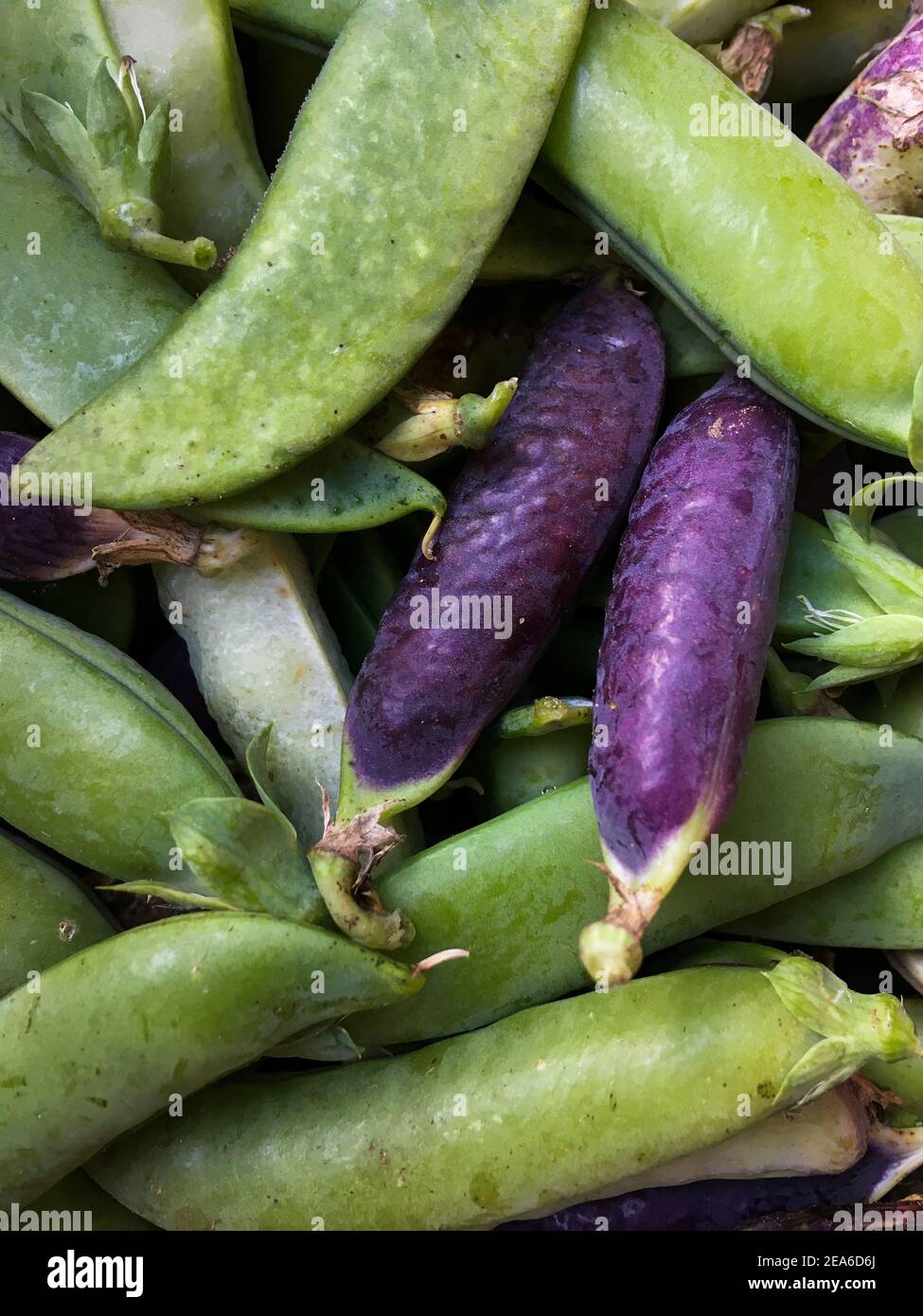 Shell peas hi-res stock photography and images - Alamy