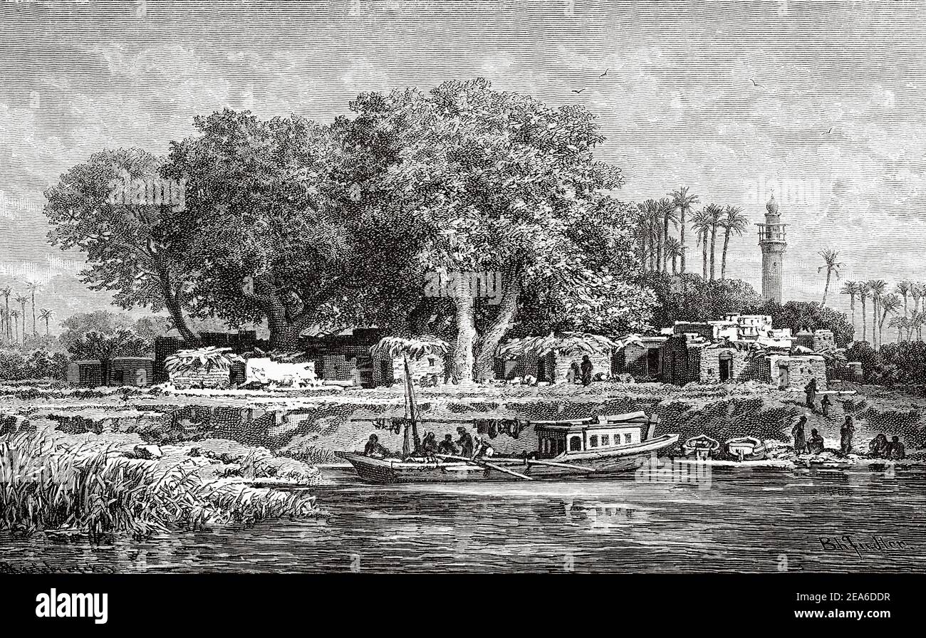 Nile River Delta Village. Ancient Egypt History. Old 19th century ...