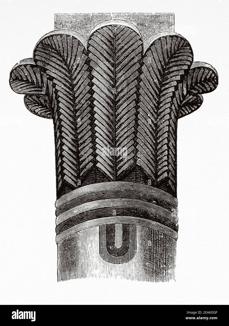 Palm-shaped capital. Huge palm leaves shaped capital. Ancient Egypt ...