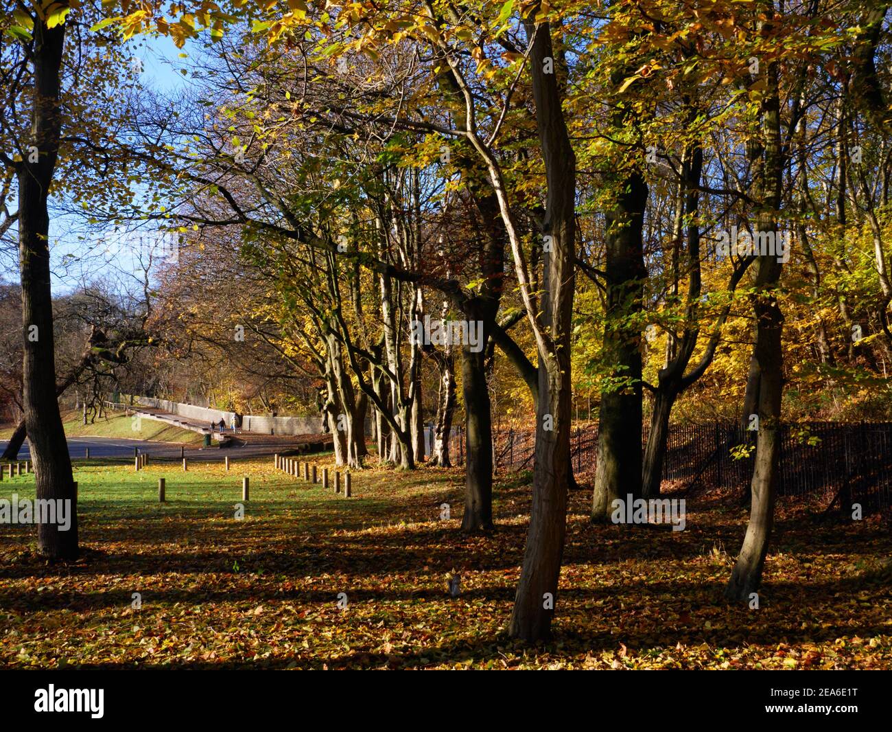 Autumn in Thompson Park, Burnley, Lancashire Stock Photo - Alamy