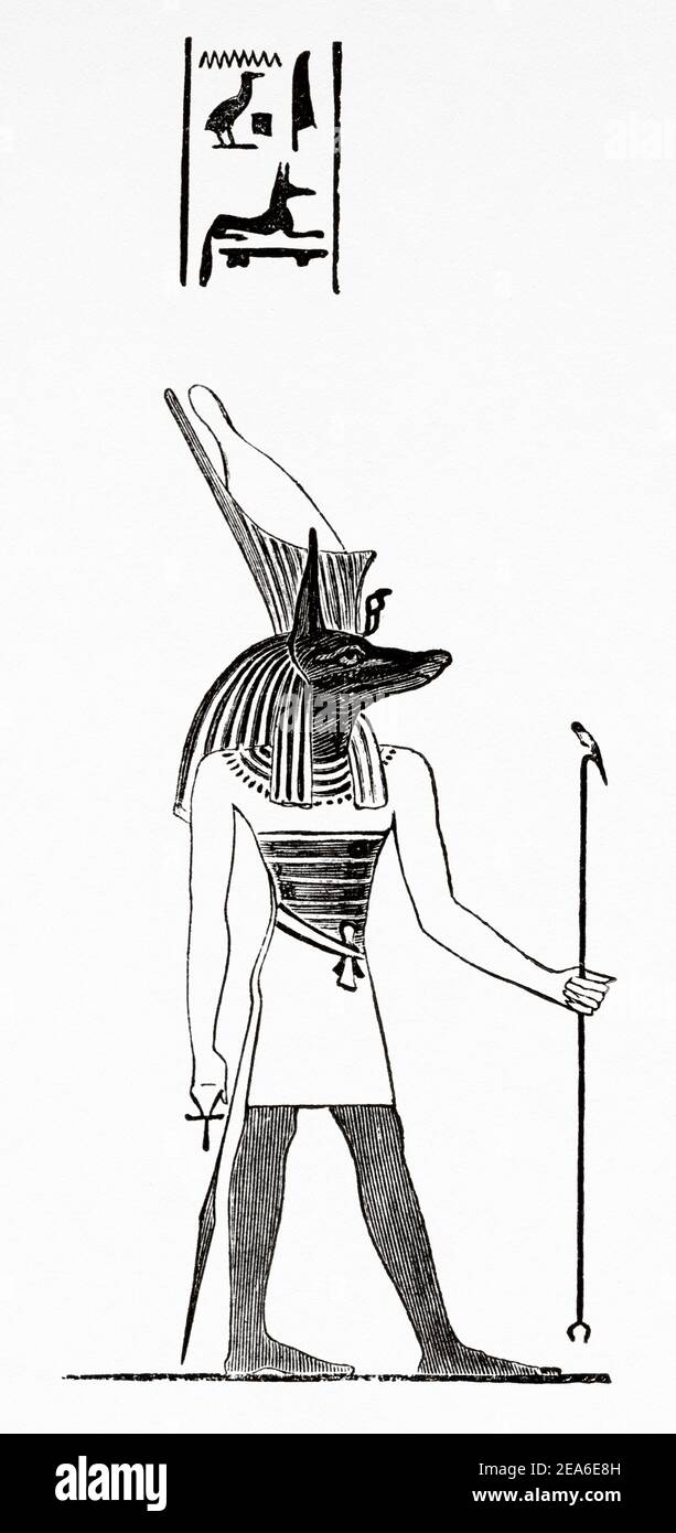 Anubis the god associated with mummification and the afterlife in ...