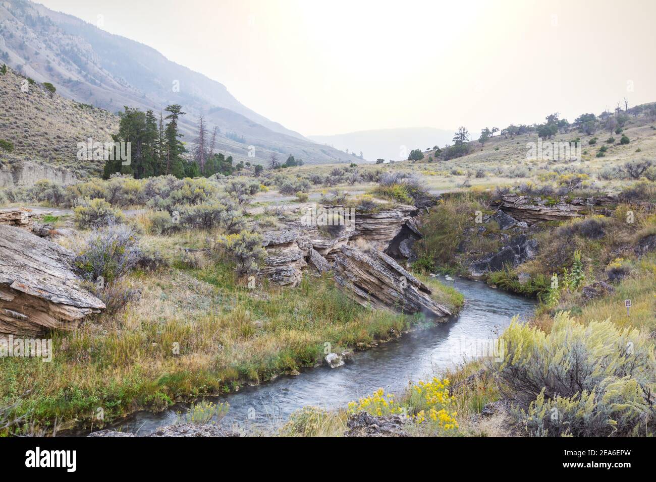 Natural Hot Spring in mountains, summer season Stock Photo - Alamy
