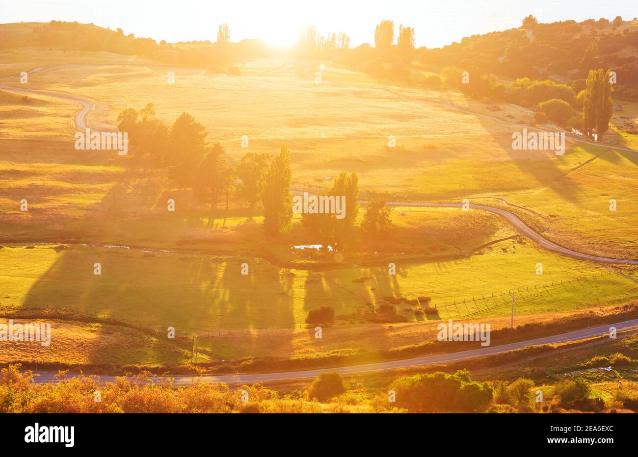 Hay field in new zealand hi-res stock photography and images - Alamy