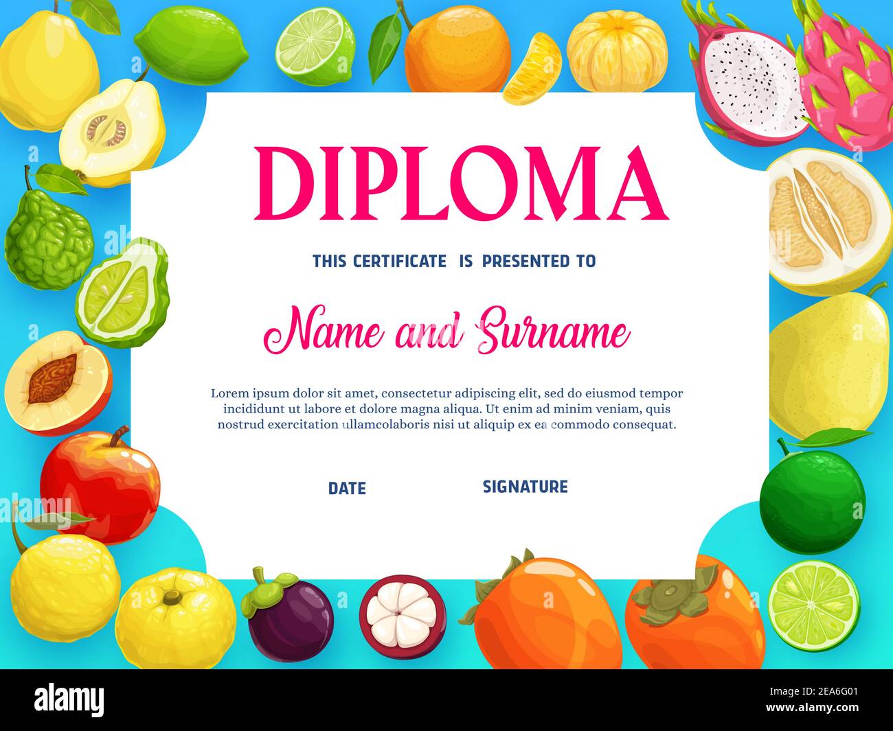 Education school diploma with tropical fruits vector template ...