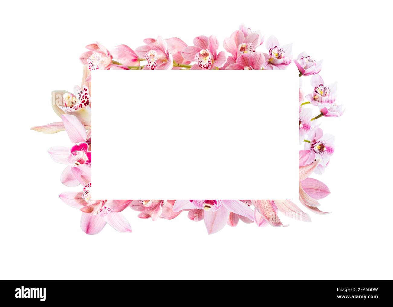 Frame made of flowers. Lovely orchids with copy space Stock Photo - Alamy