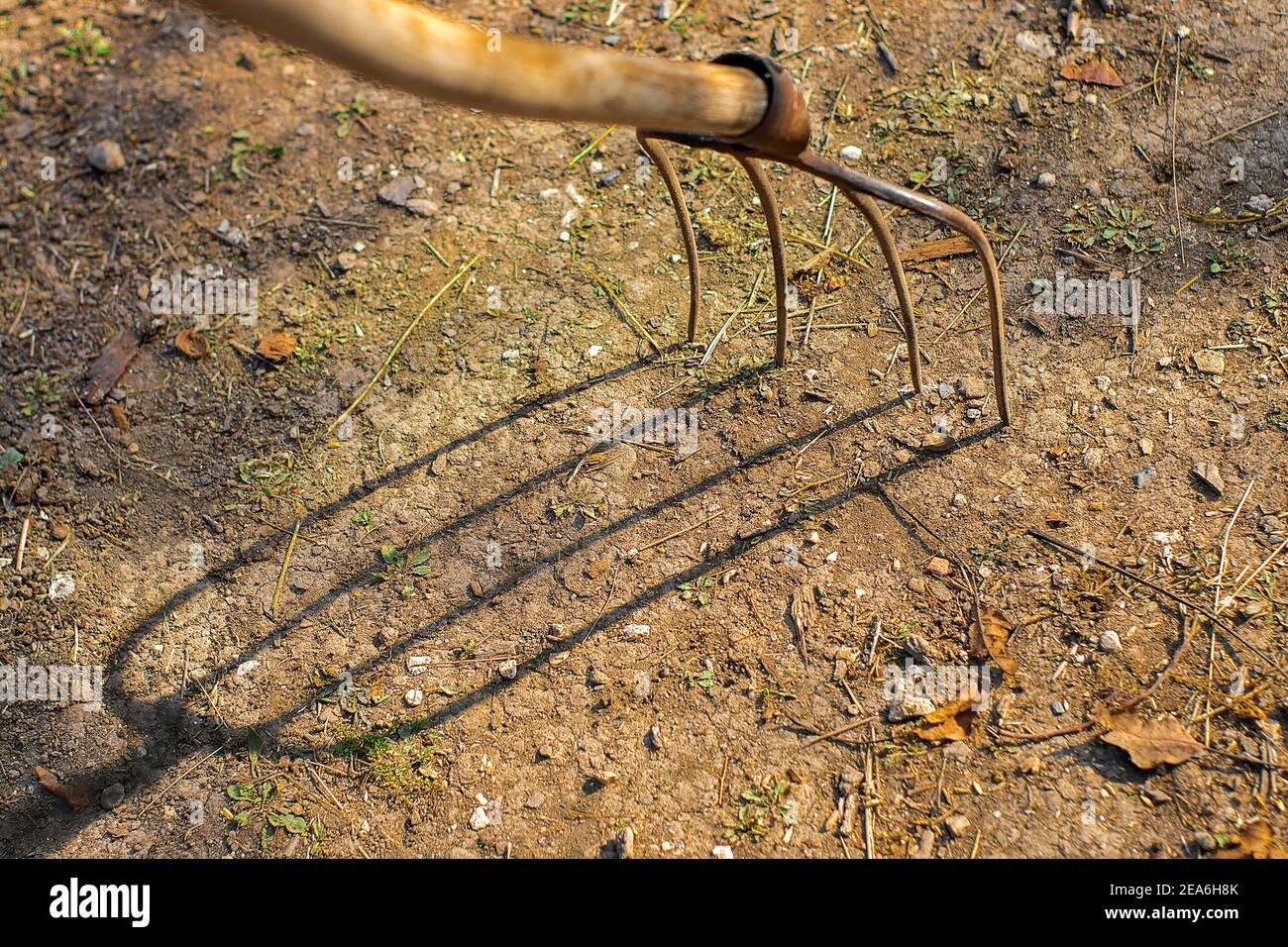 A long shadow on the surface. Bright midday sun in the afternoon Stock ...