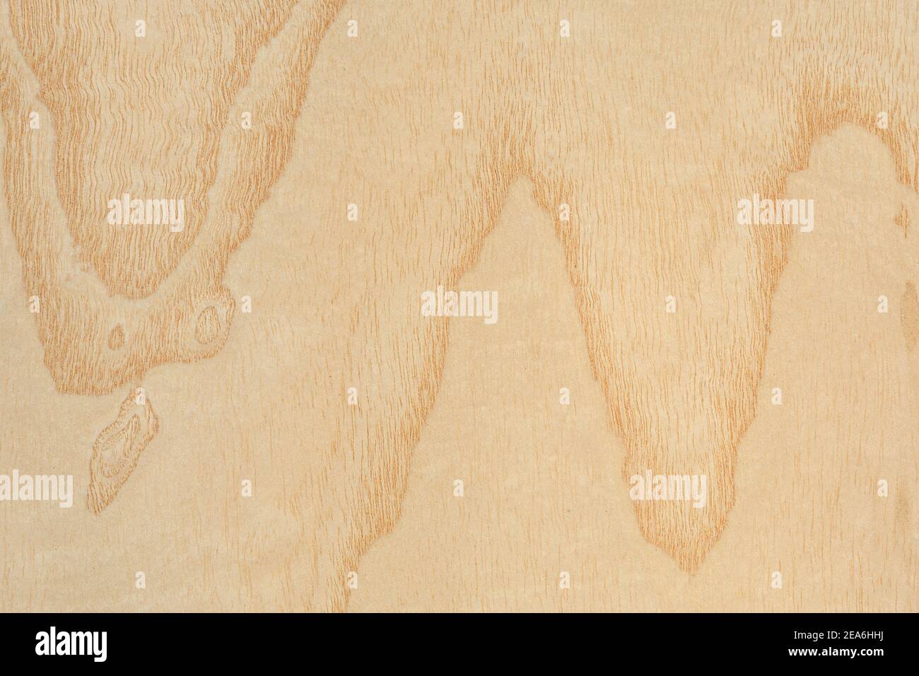 Birch wood background. High resolution image of birch plywood texture ...