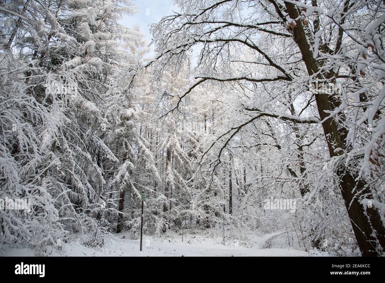 chemnitz on a snowy afternoon Stock Photo - Alamy