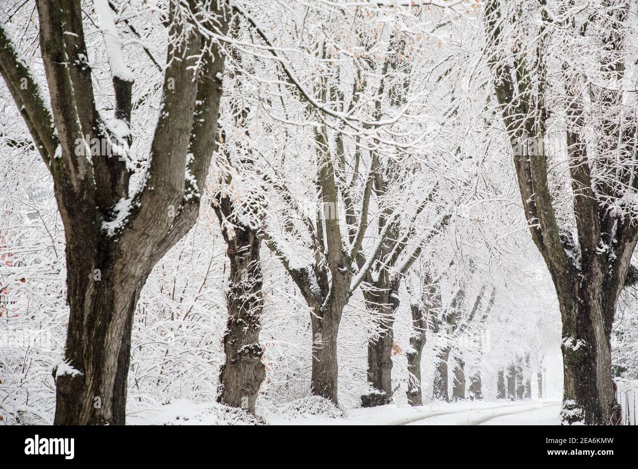 chemnitz on a snowy afternoon Stock Photo - Alamy