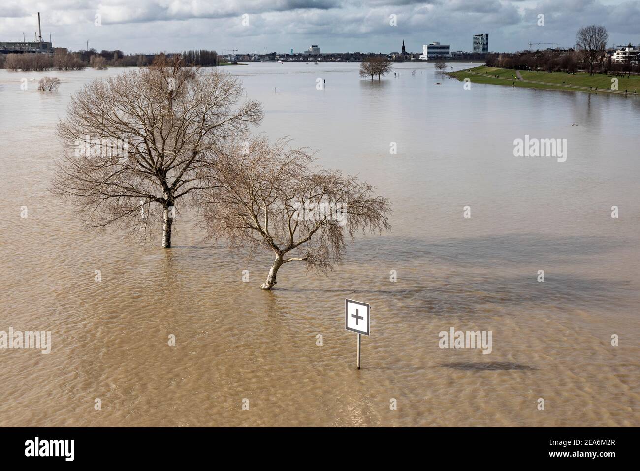 Flooding on the Rhine floods the meadows of the Oberkassel district ...