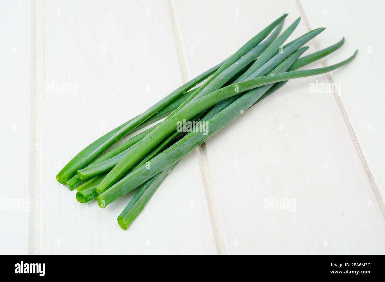 Cutting stalks of green onions, an ingredient in cooking. Studio Photo ...