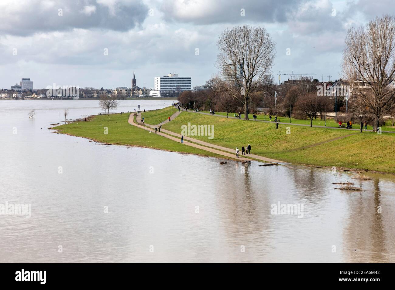 Flooding on the Rhine floods the meadows of the Oberkassel district ...