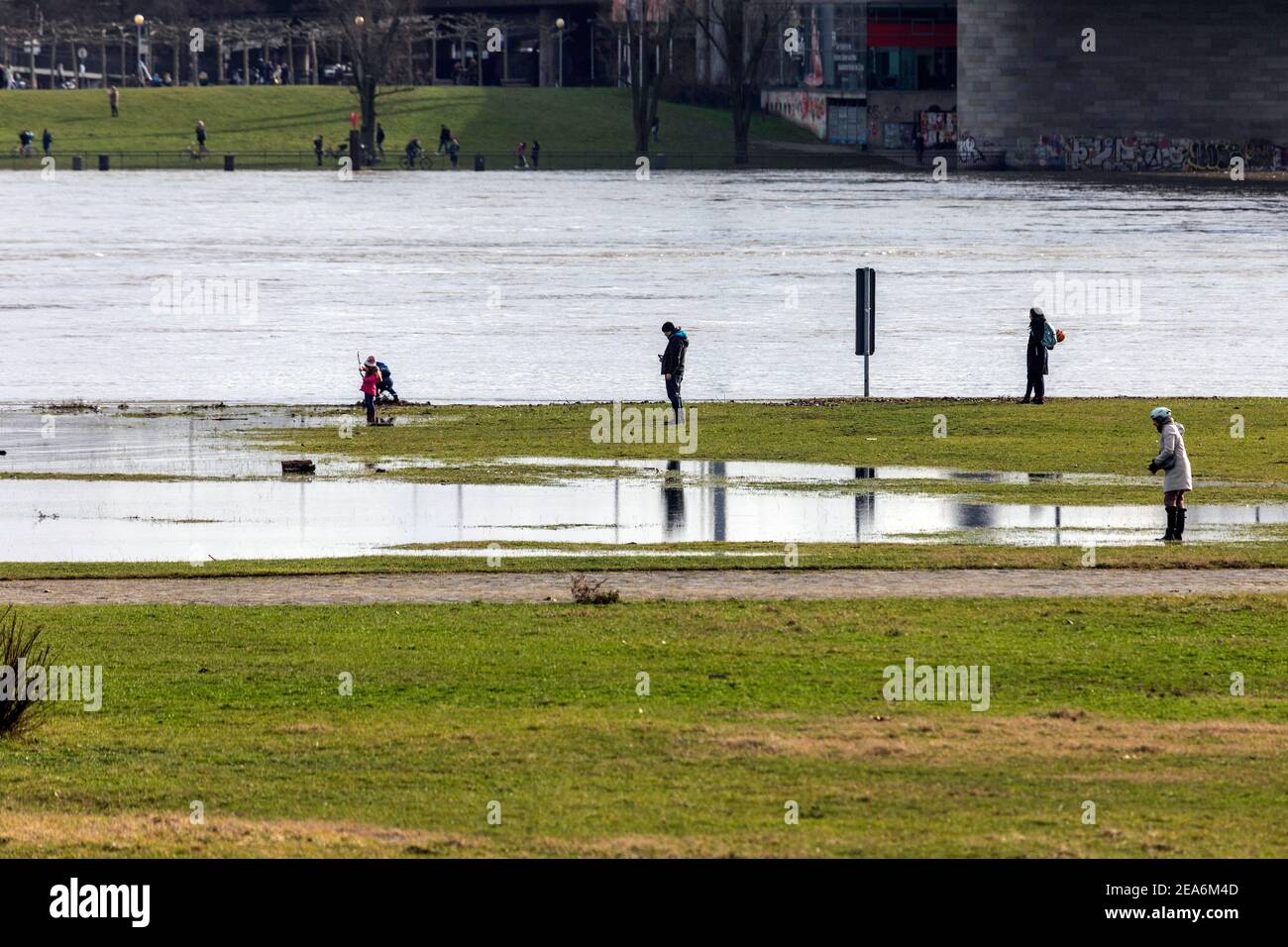 Flooding on the Rhine floods the meadows of the Oberkassel district ...