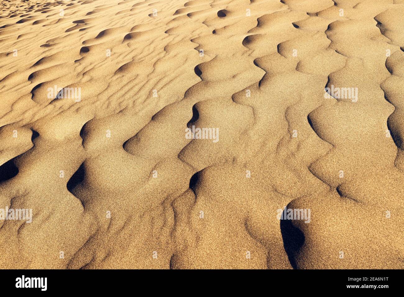 Closeup texture of the ridged surface of the sand with ripples and mini ...
