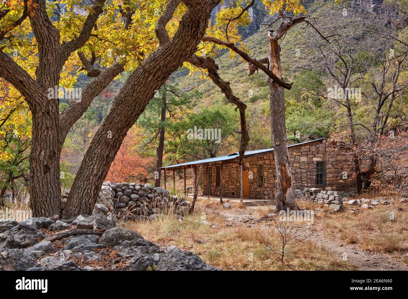 Hunter Line Shack with Bigtooth Maples changing colors in autumn in ...