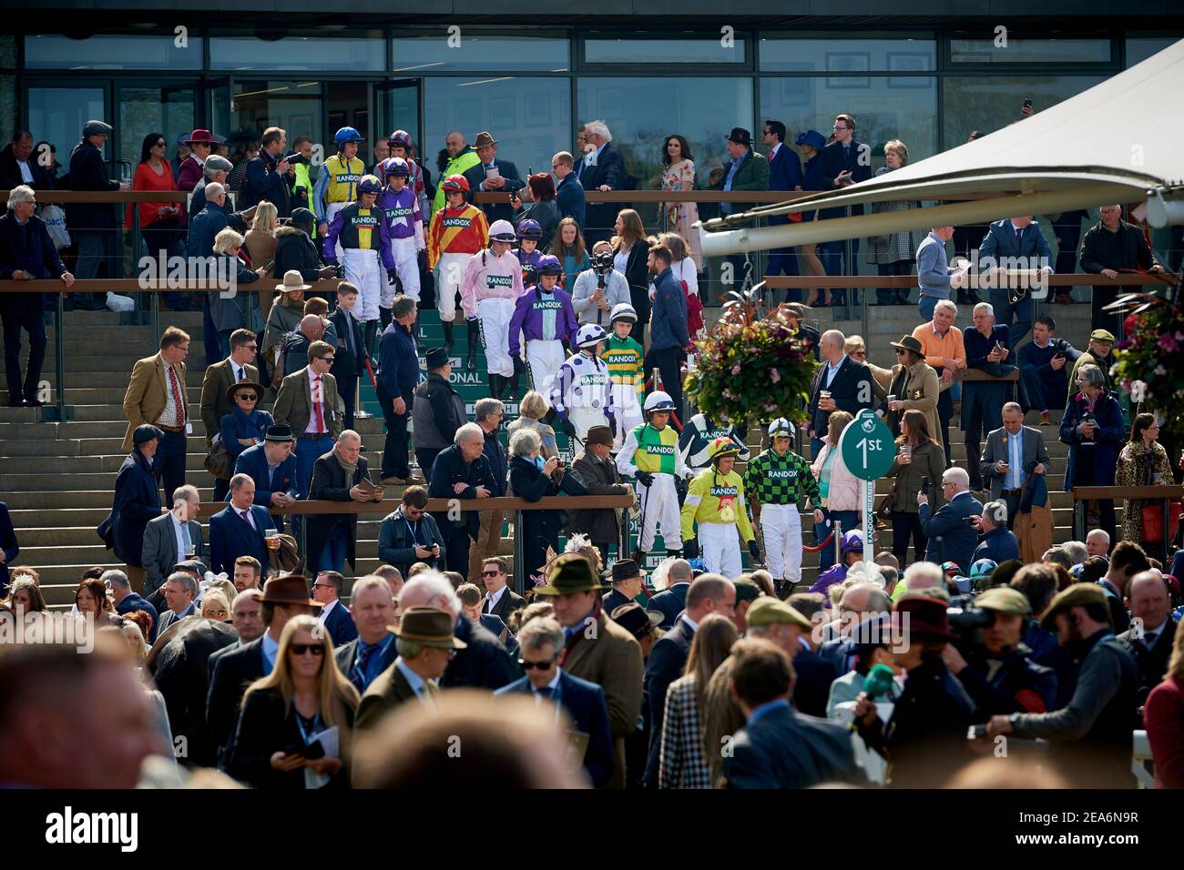 Horse racing paddock parade hi-res stock photography and images - Alamy