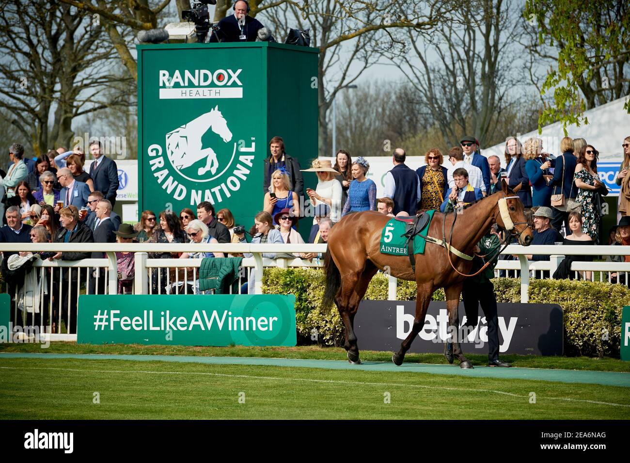 Jockeys make way to parade ring hi-res stock photography and images - Alamy