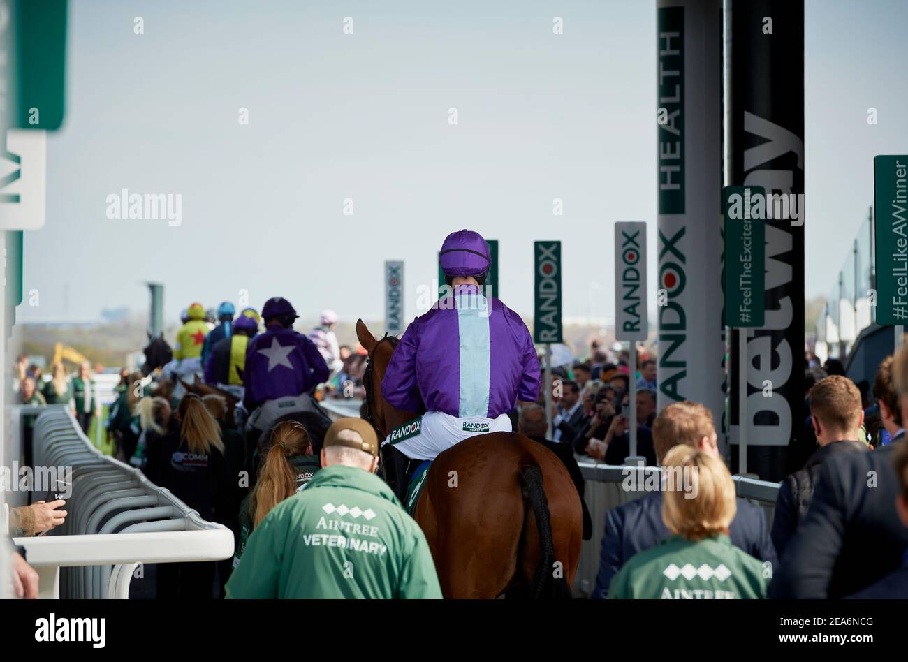 Aintree racecourse fences hi-res stock photography and images - Alamy
