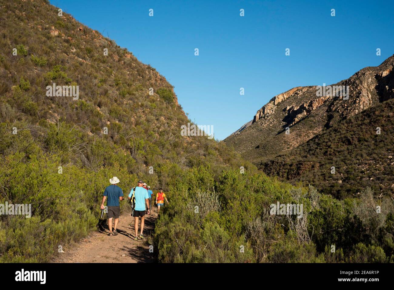 Hikers on the Leopard Trail, Baviaanskloof, South Africa Stock Photo ...