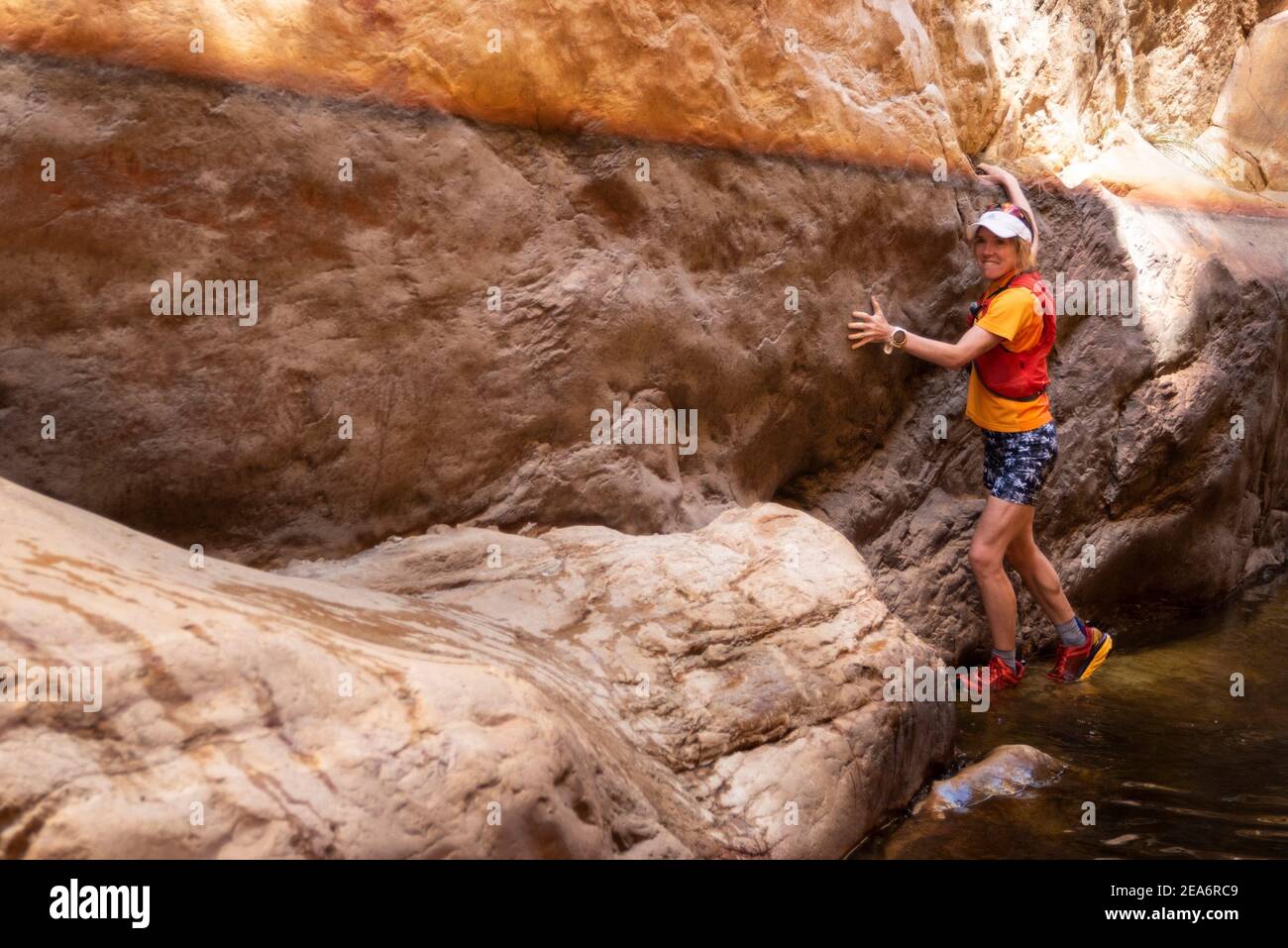 Go baviaans hi-res stock photography and images - Alamy