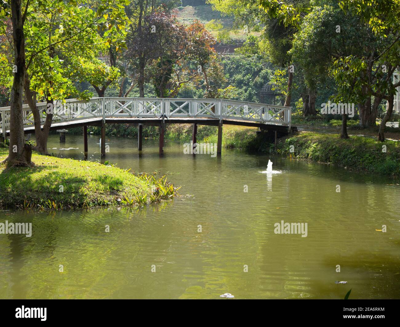 View footbridge across pond hi-res stock photography and images - Alamy