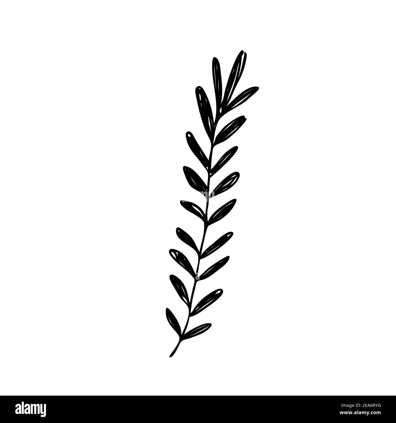Hand drawn abstract floral sprig silhouette. Black and white outline ...
