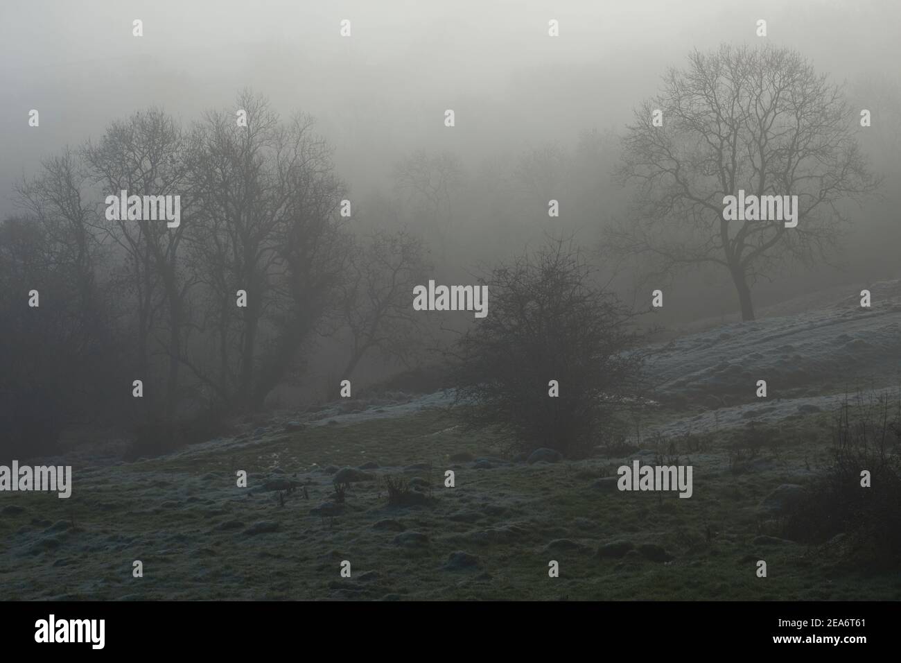 Winter mist and frost in the Woolley Valley, an Area of Outstanding ...