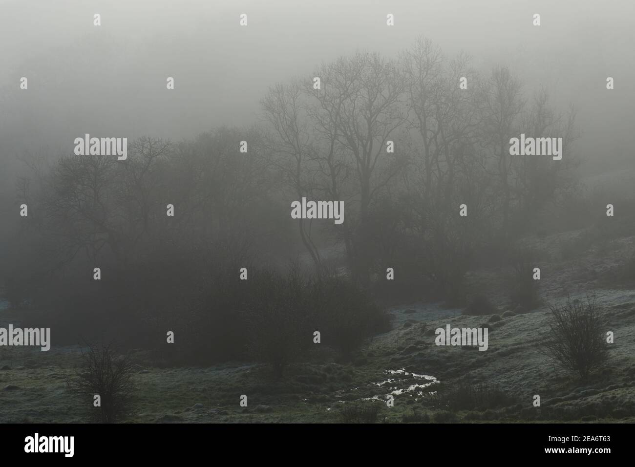 Winter mist and frost in the Woolley Valley, an Area of Outstanding ...