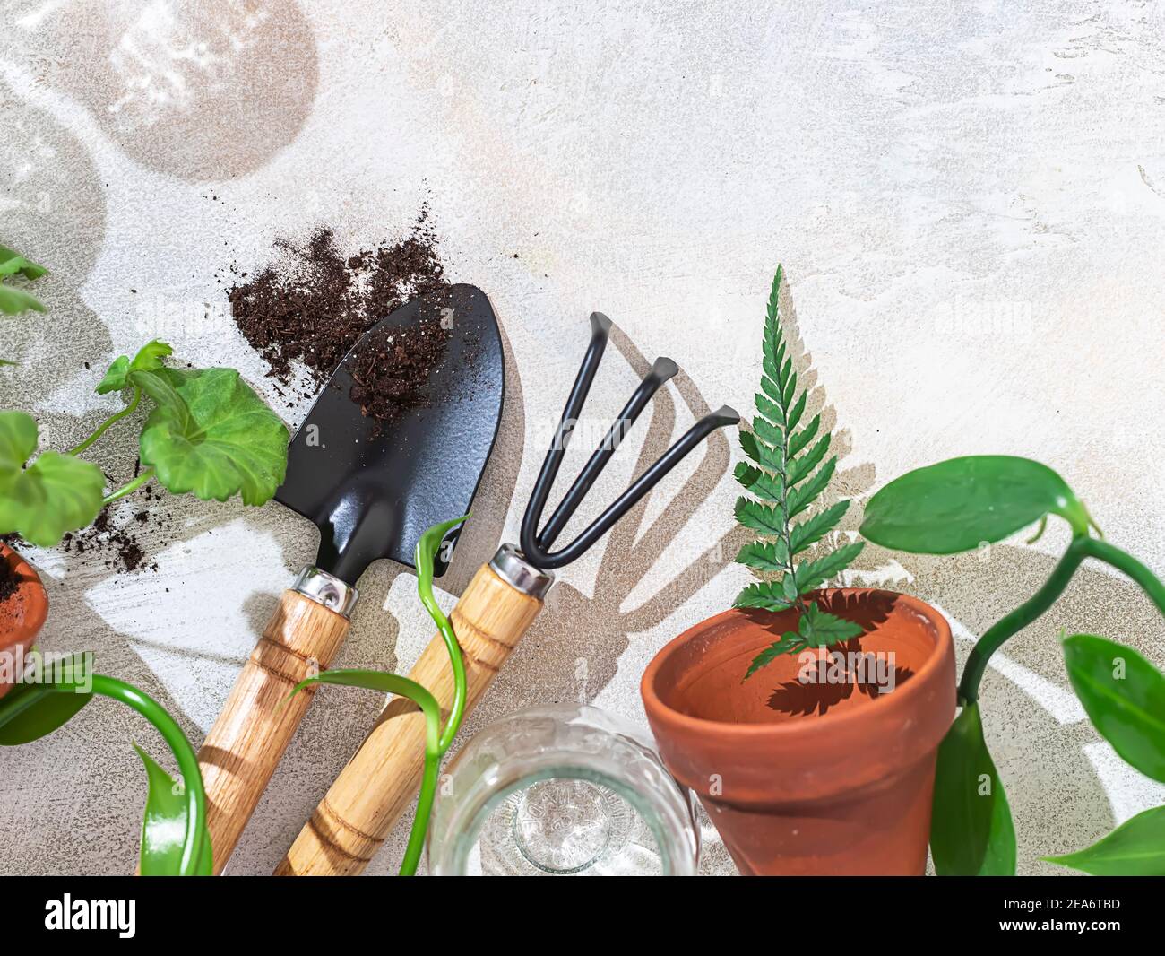 Tools for repotting a plant at home. Gardening home.Gardening concept ...