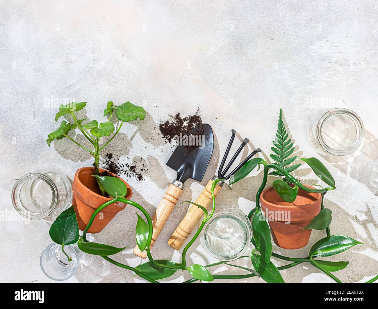 Tools for repotting a plant at home. Gardening home.Gardening concept ...