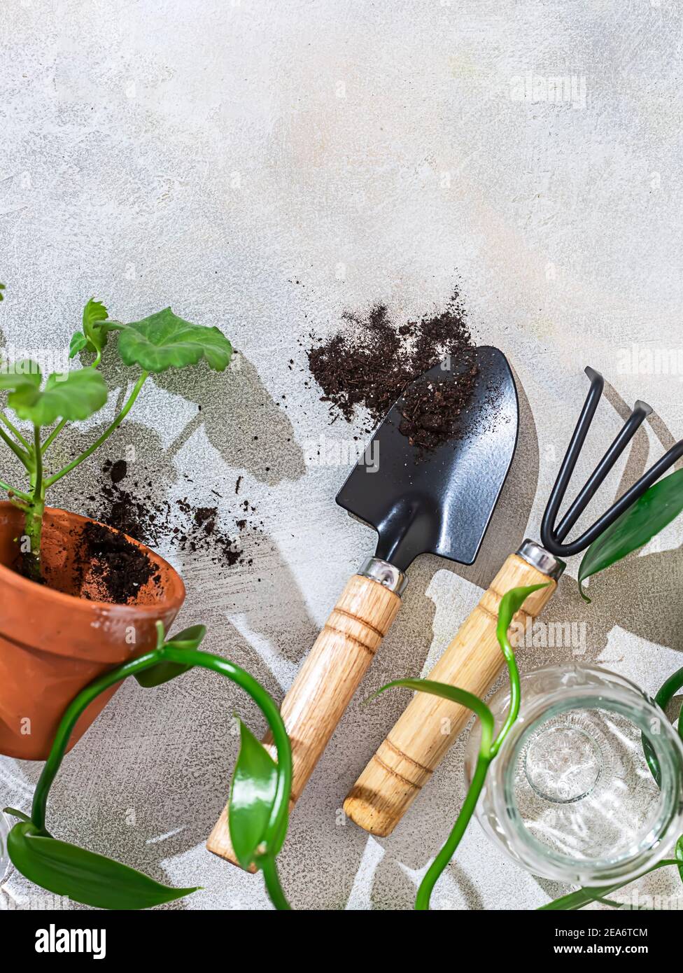 Tools for repotting a plant at home. Gardening home.Gardening concept ...