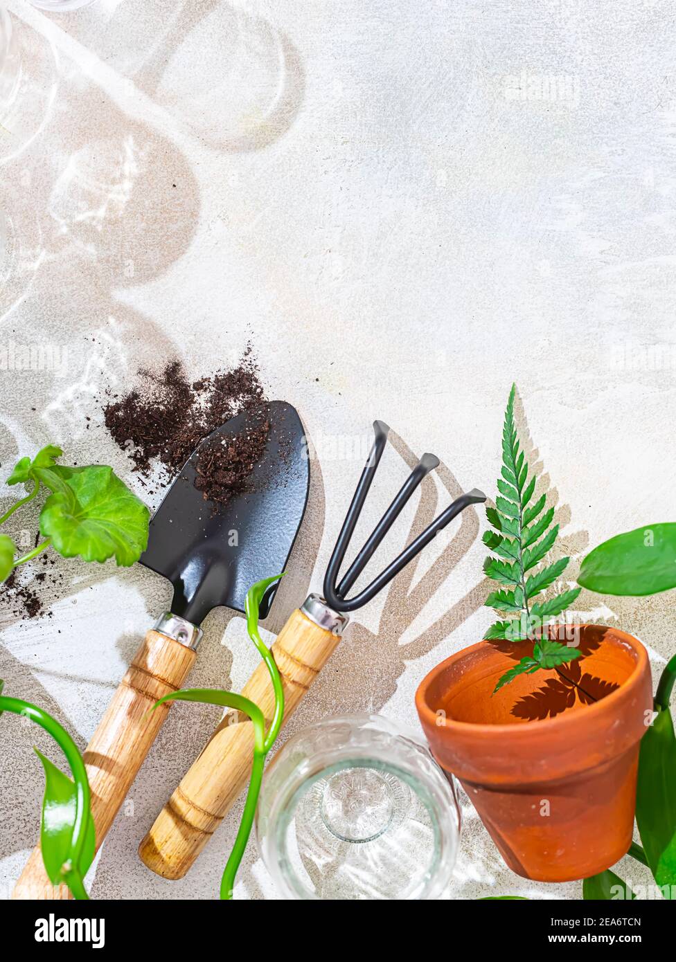 Tools for repotting a plant at home. Gardening home.Gardening concept ...