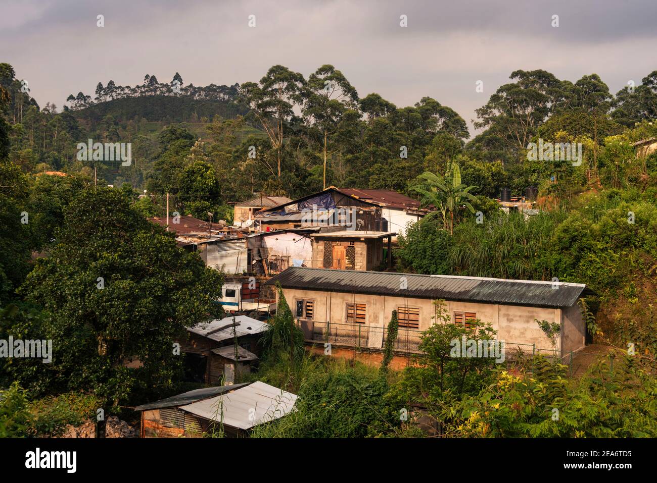 Rural houses in the town of Nallathanniya, Sri Lanka. Town at the foot ...