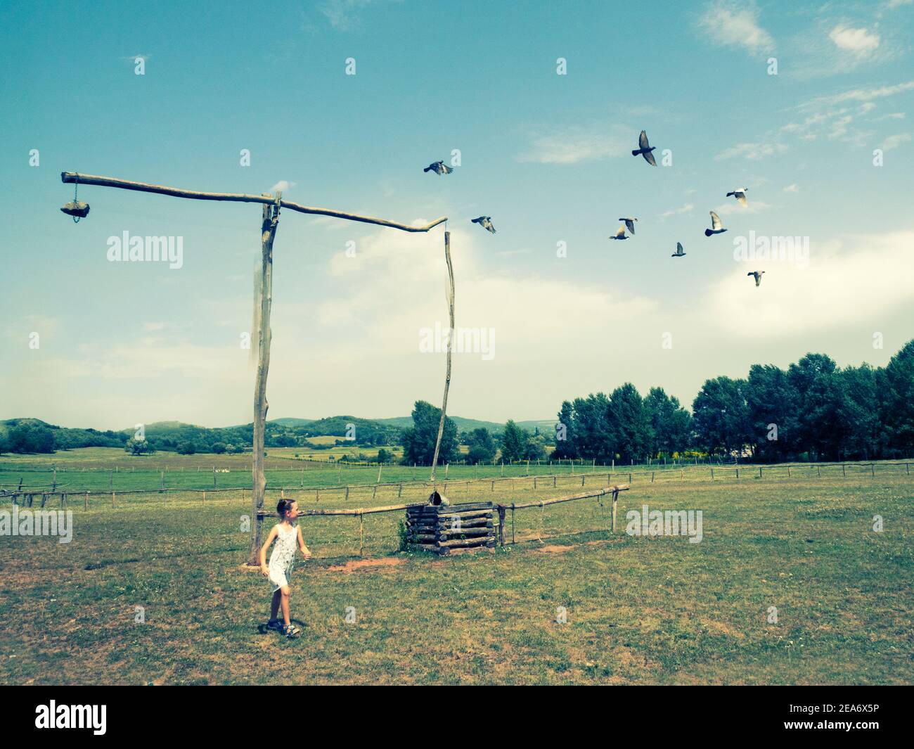 Children chasing bird hi-res stock photography and images - Alamy