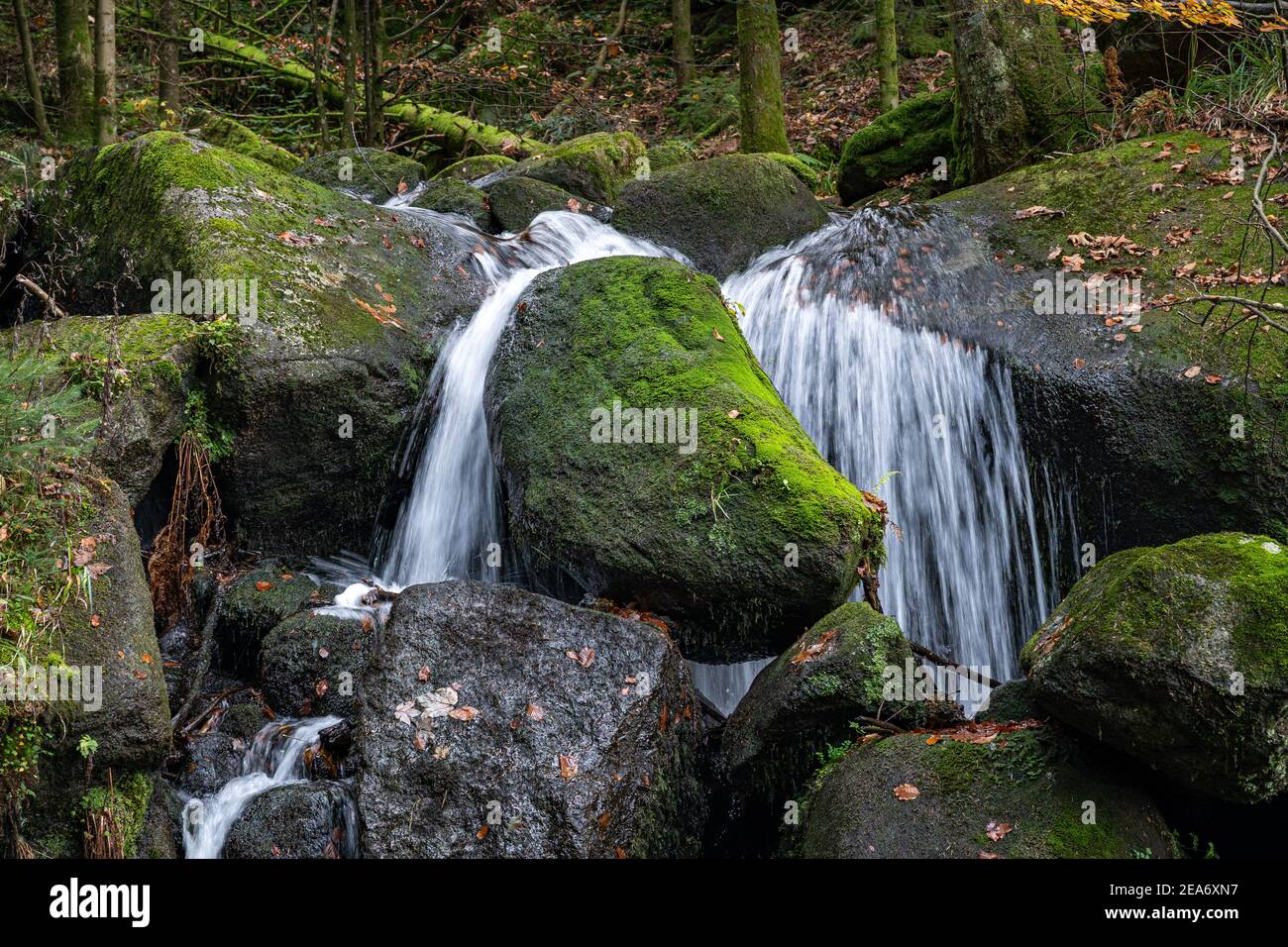 Scenic landscape with a beautiful waterfall in the forest among rich ...