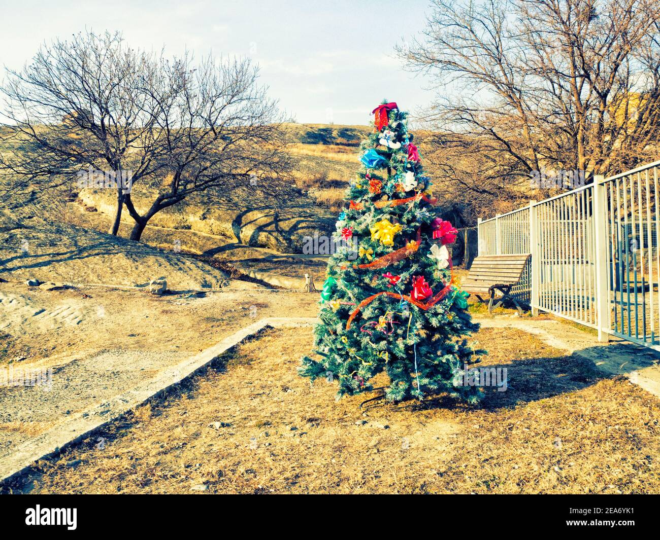 Georgia Pine Tree High Resolution Stock Photography and Images - Alamy