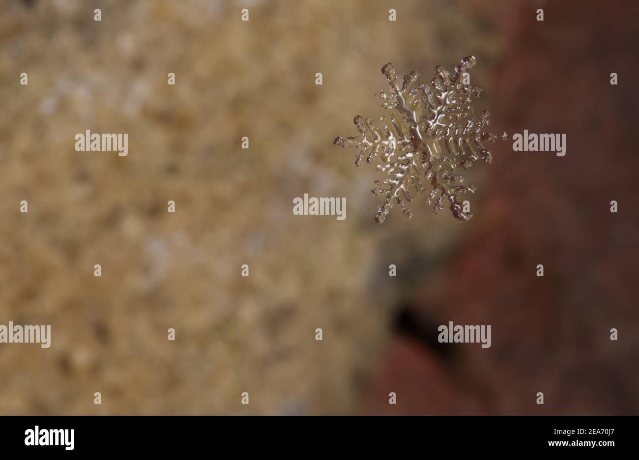 snowflake in macro floating down Stock Photo - Alamy