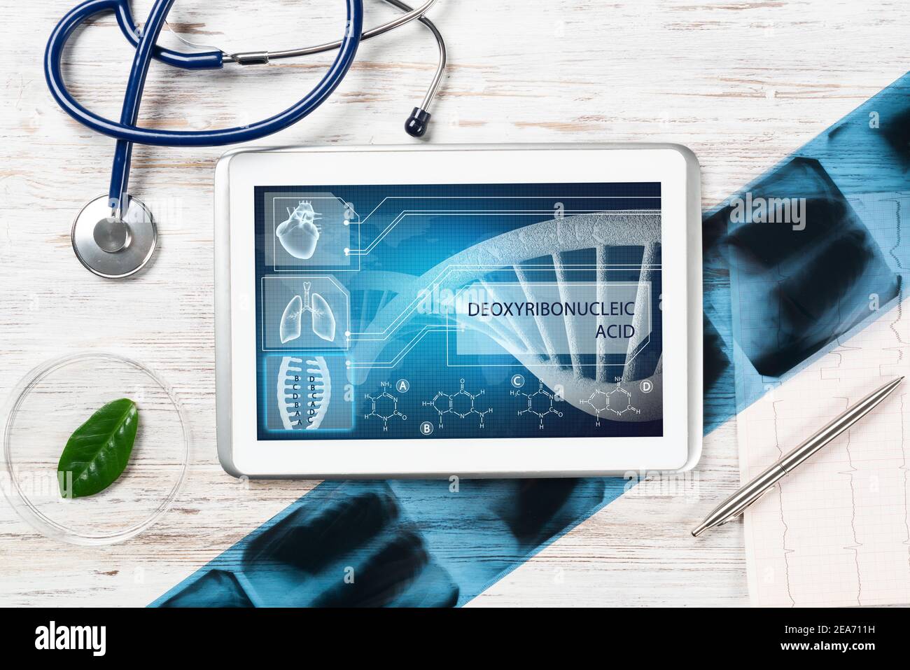 Human genetic research in medical laboratory Stock Photo - Alamy