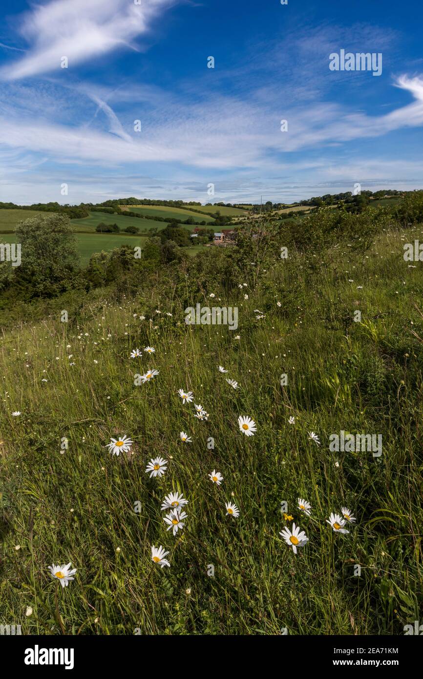 Bradenham Small Dean Bank and Farm; Buckinghamshire; UK Stock Photo - Alamy