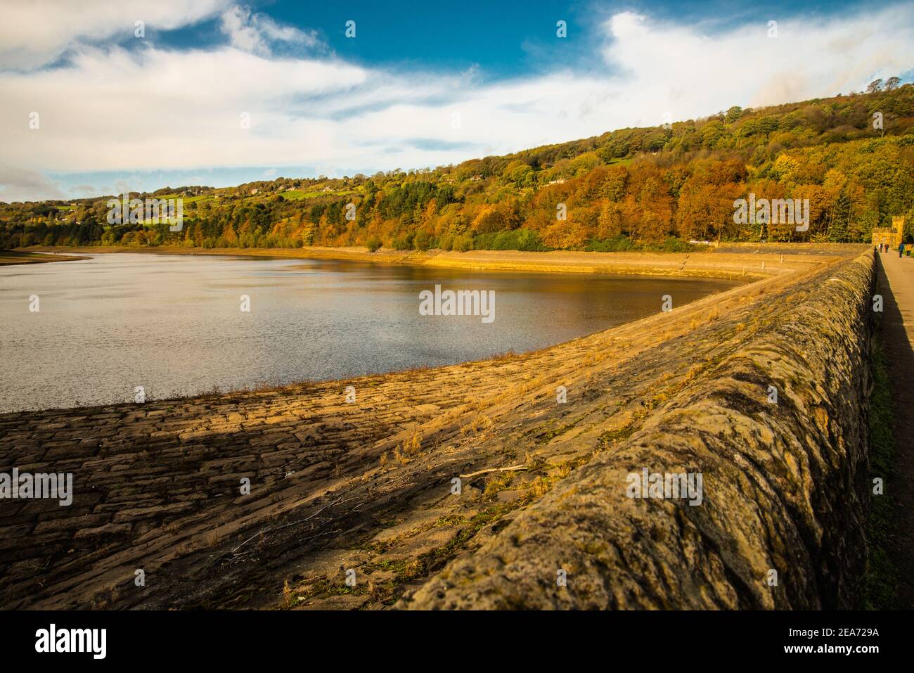 The bounding over watch hi-res stock photography and images - Alamy