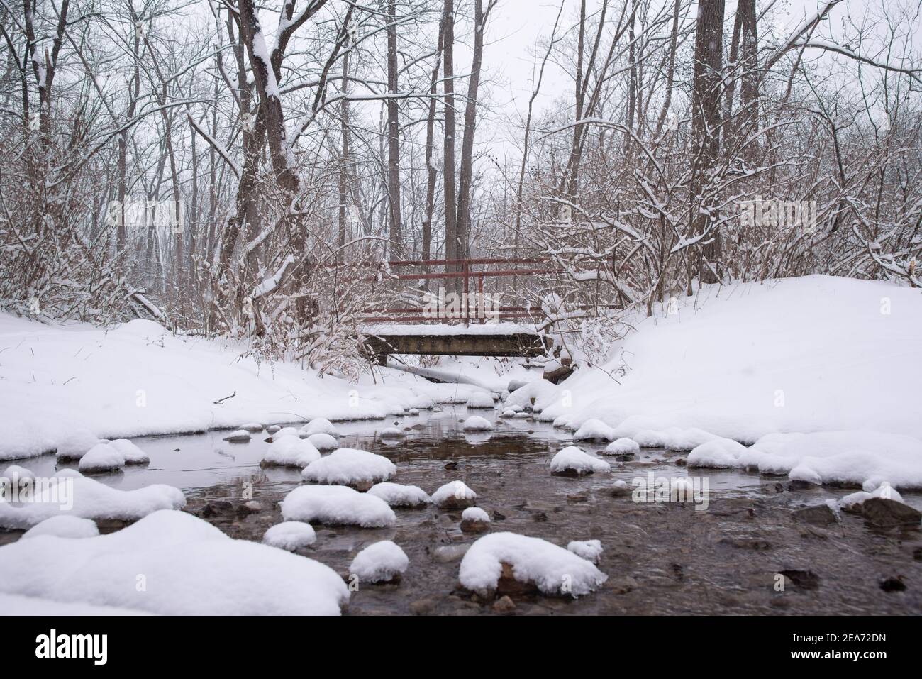 Orlena hi-res stock photography and images - Alamy