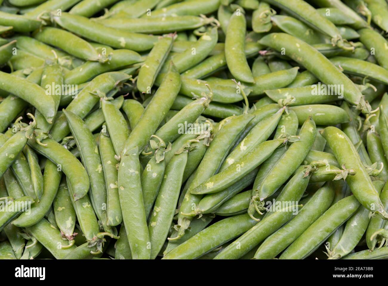 Fresh peas hi-res stock photography and images - Alamy