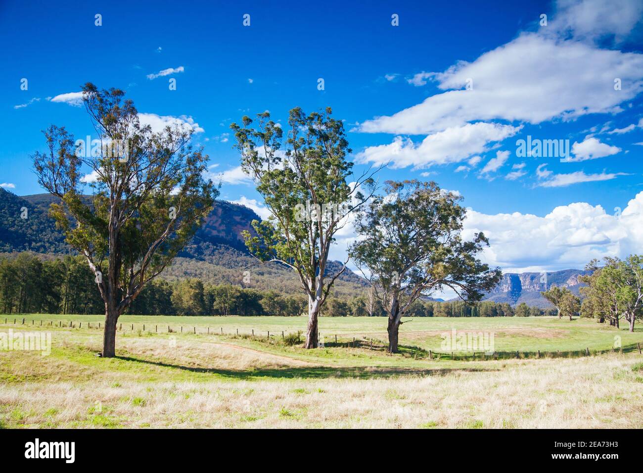 Australia outback grassland grass hi-res stock photography and images ...
