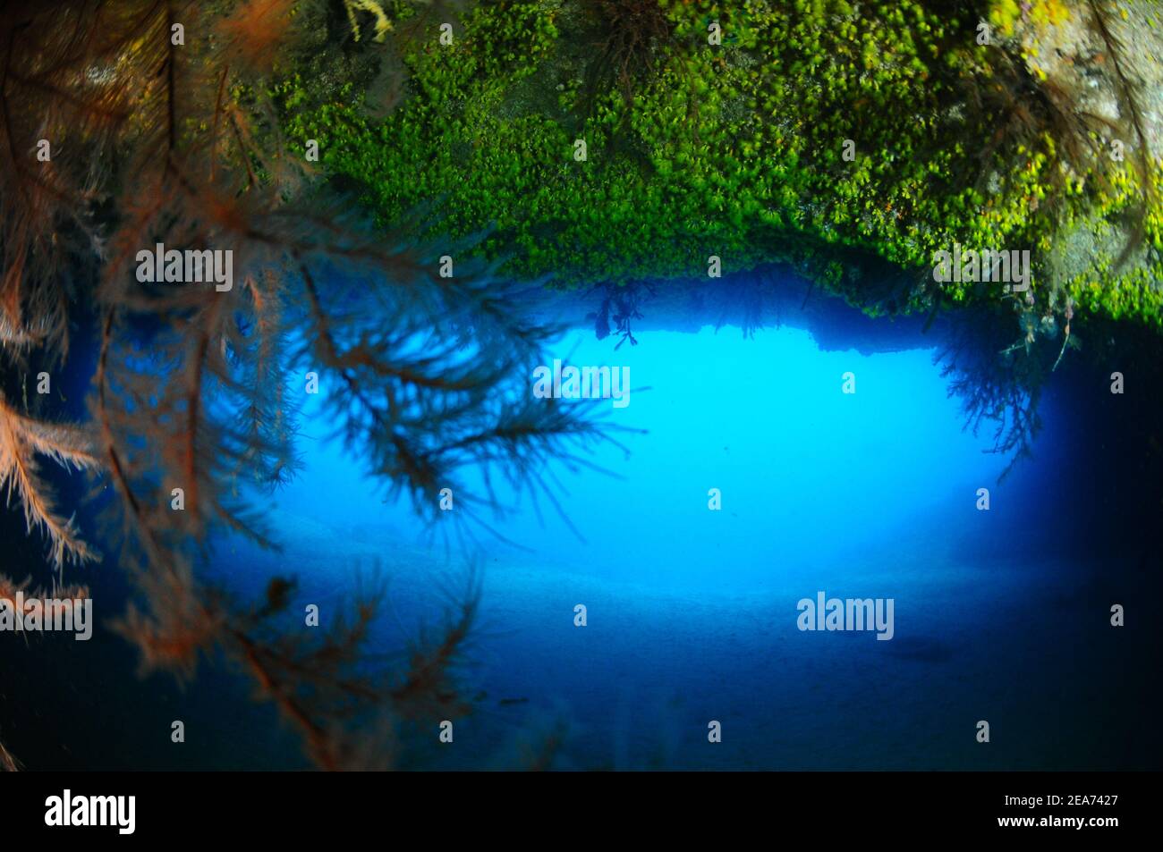 Underwater shot from cave diving in Cabo Verde Stock Photo - Alamy