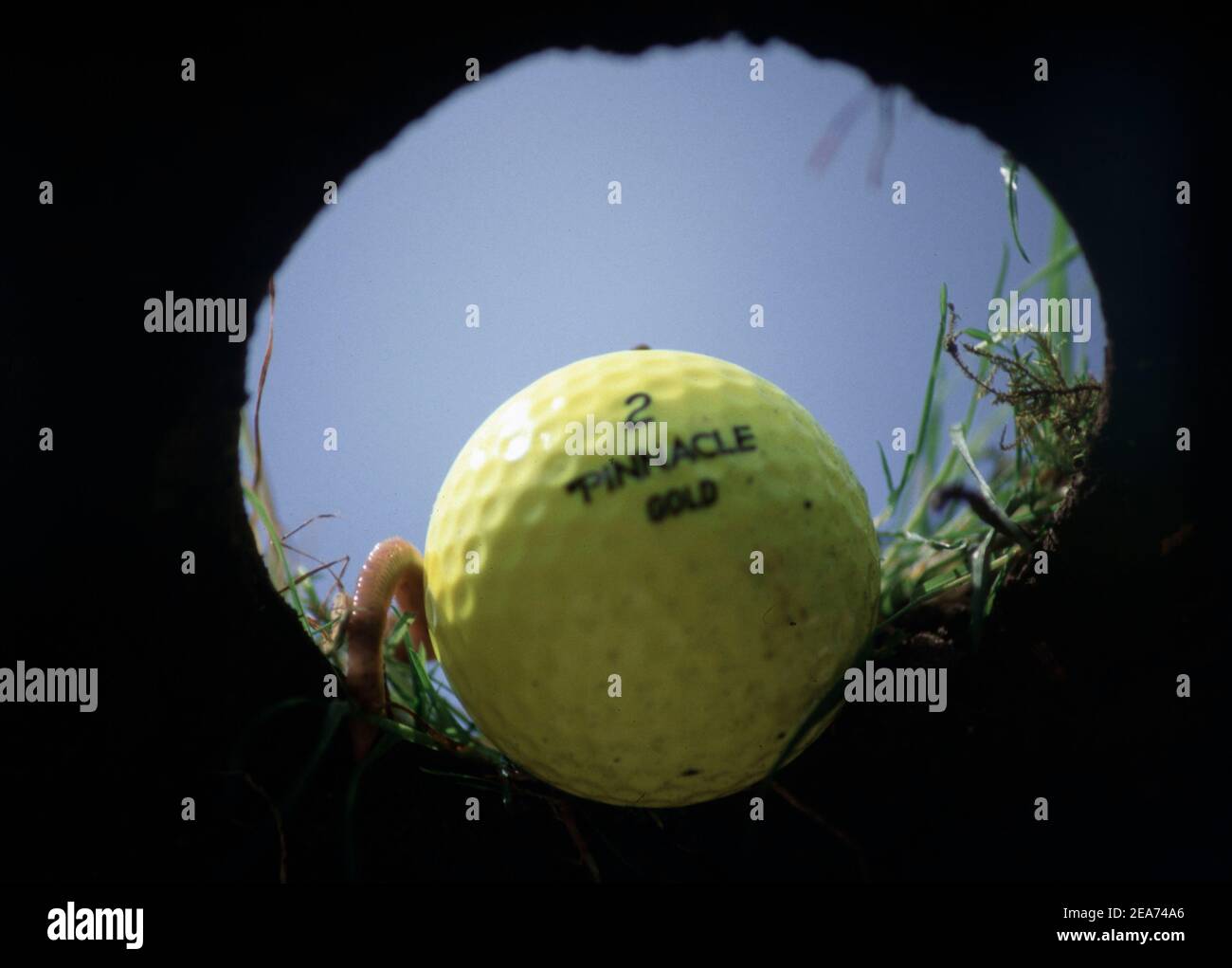 Yellow underneath hi-res stock photography and images - Alamy