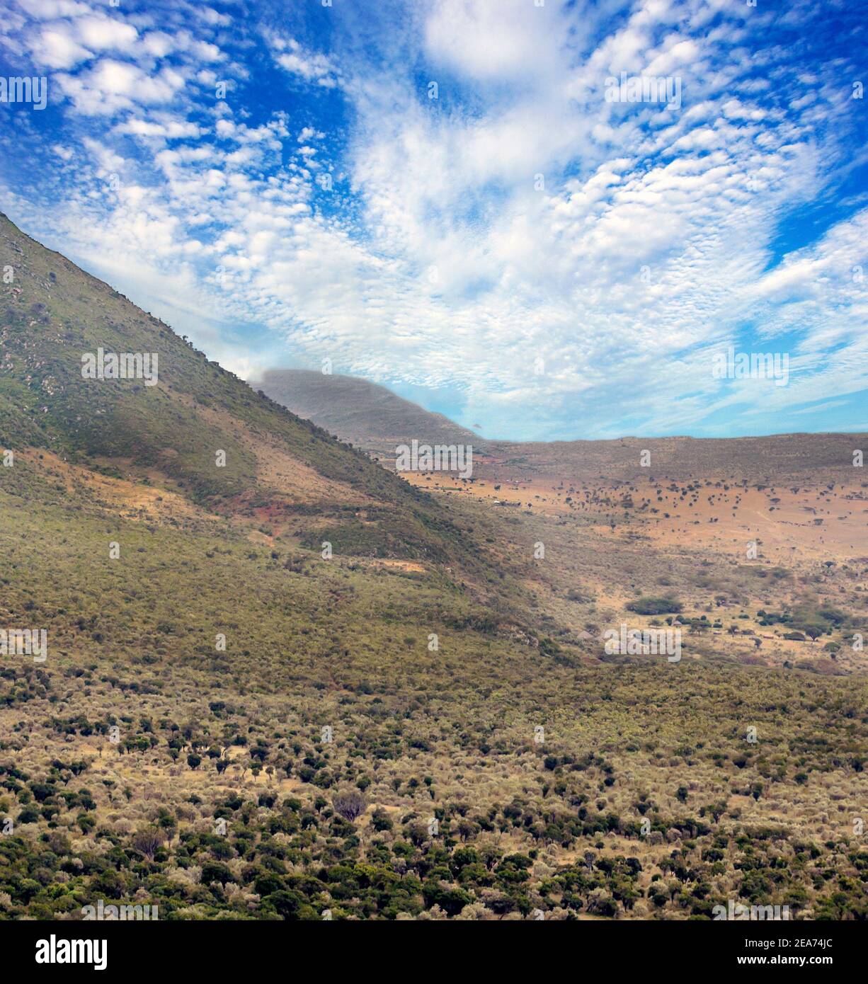 Kenyan highlands hi-res stock photography and images - Alamy