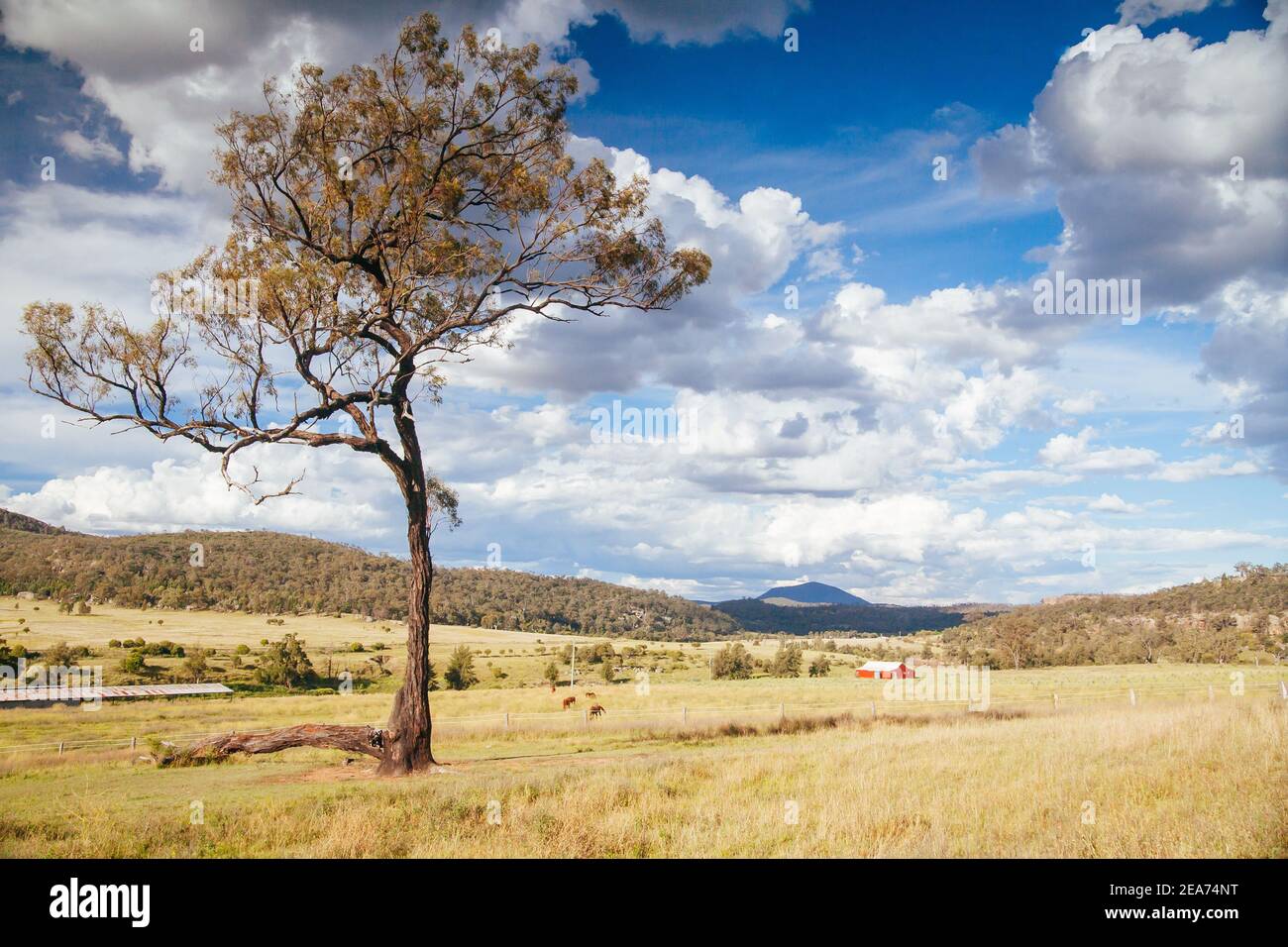 Hunter Valley Landscape in Australia Stock Photo - Alamy