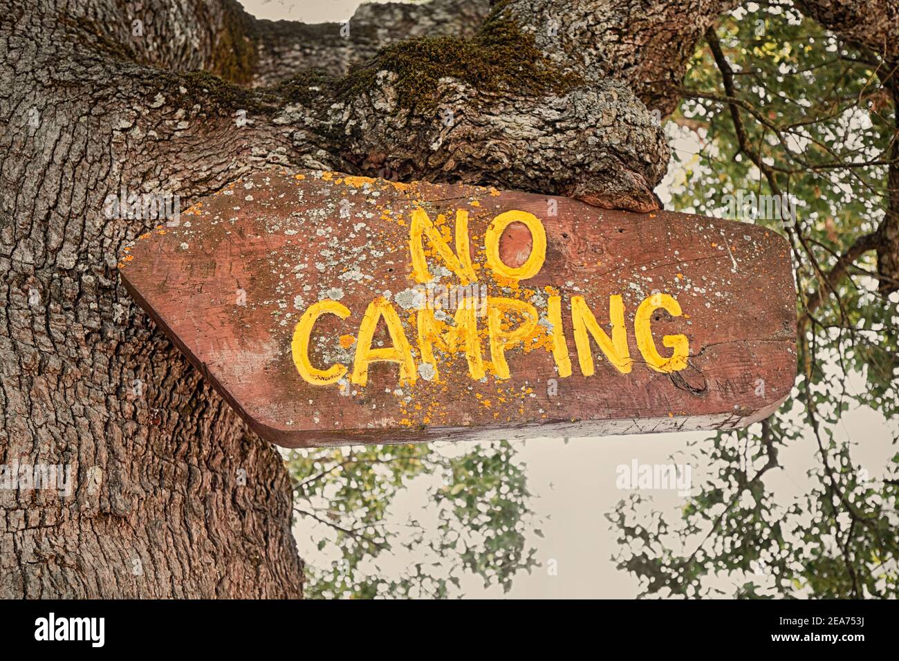 Campfire prohibited area hi-res stock photography and images - Alamy